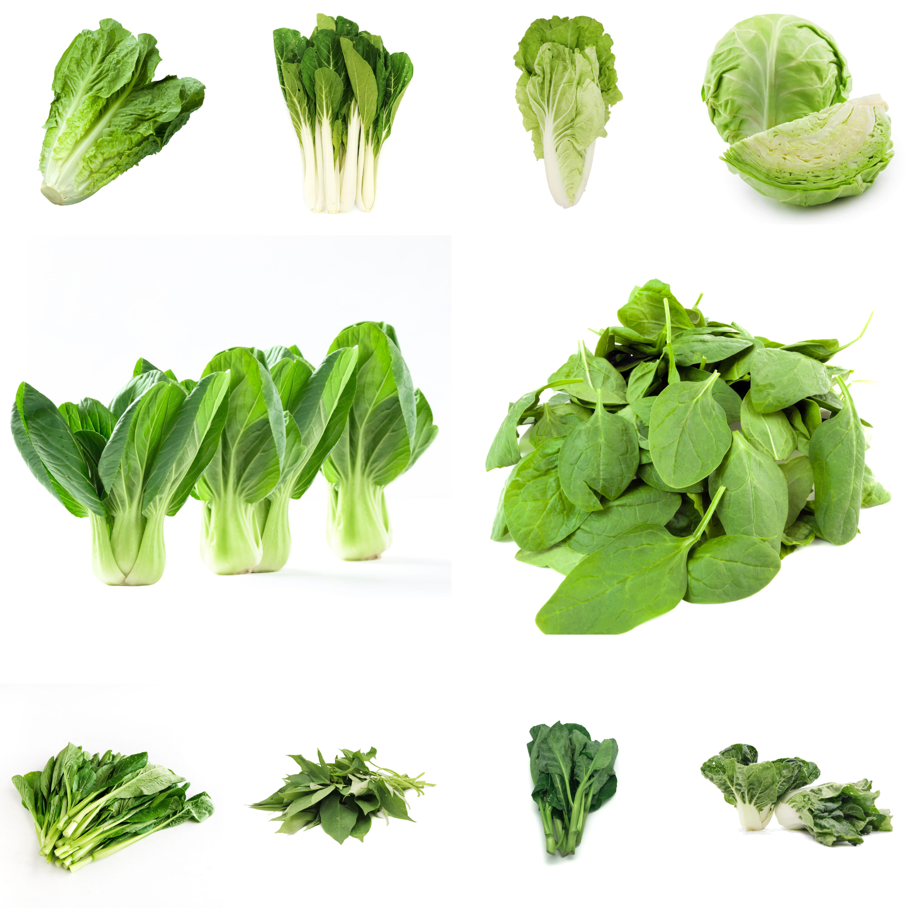 [FRESH] $10 for 10 pcs Imperfect Mystery Veggies – ZENXIN ORGANIC