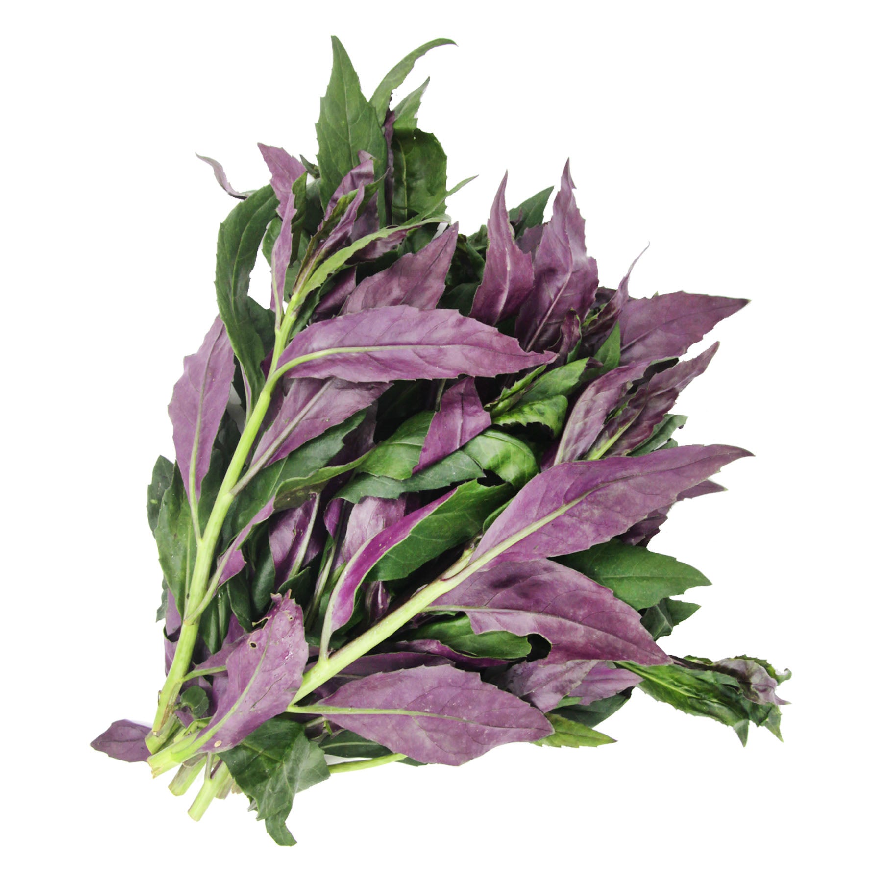 [FRESH] Organic Okinawa Spinach 200g Malaysia – ZENXIN ORGANIC